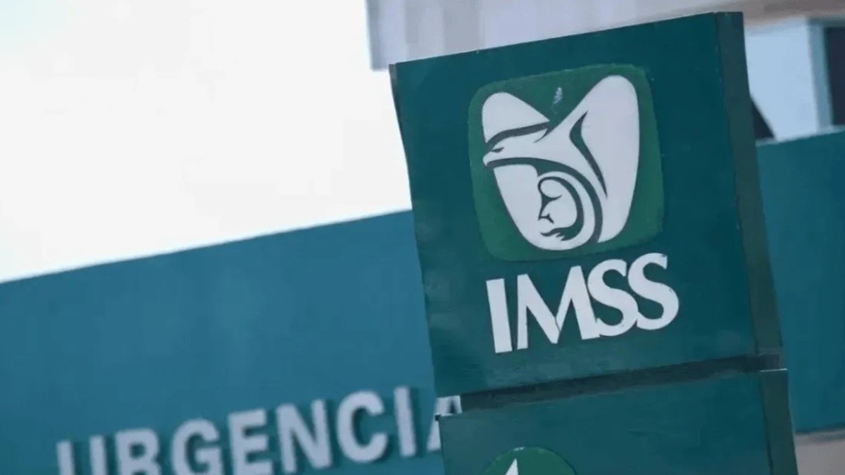 ¡Freelancer! Conoce los 5 seguros del IMSS que protegen tu futuro y familia