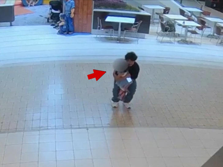 Attempted Abduction of Little Girl at Mall Caught on Video, Police Say