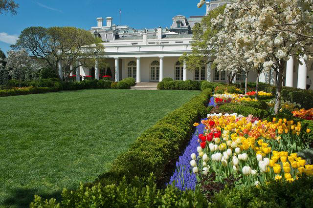White House Rose Garden Patio Now Features Umbrellas from Mar-a-Lago ...