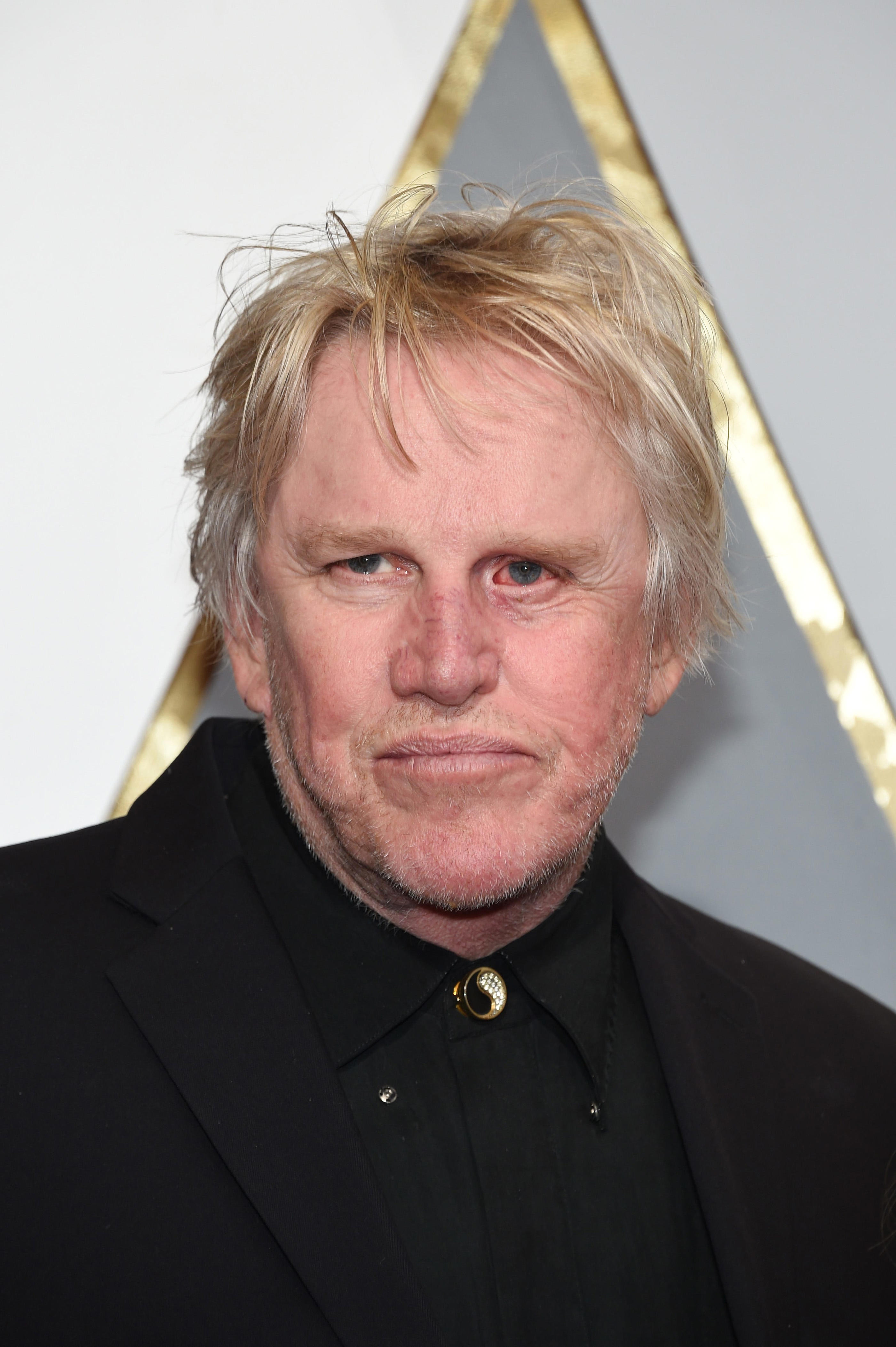 Gary Busey pleads guilty to criminal charge for unwanted touching