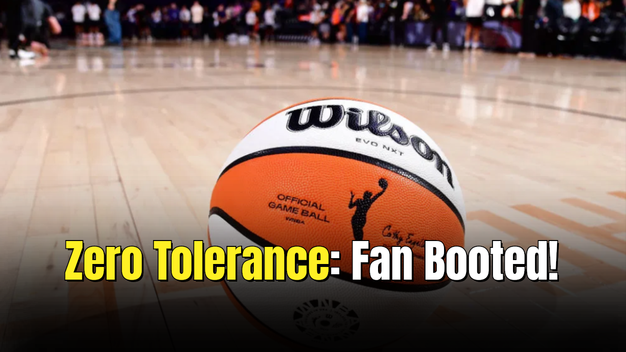 WNBA Fan Booted From Game After Laughing At Kahleah Copper's Wig Slip ...