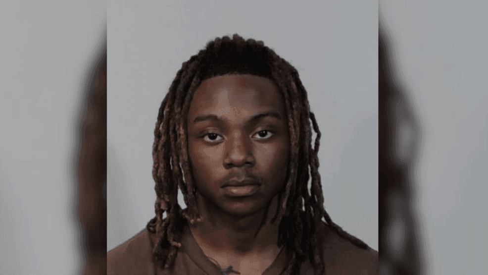 Tesla driver accused of flashing BB gun during road rage incident in ...