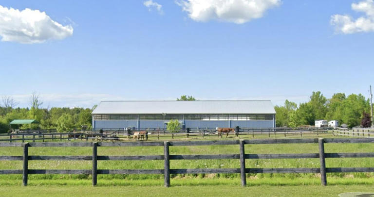 1 horse dead, several injured at Welland, Ont., farm in 'disturbing ...