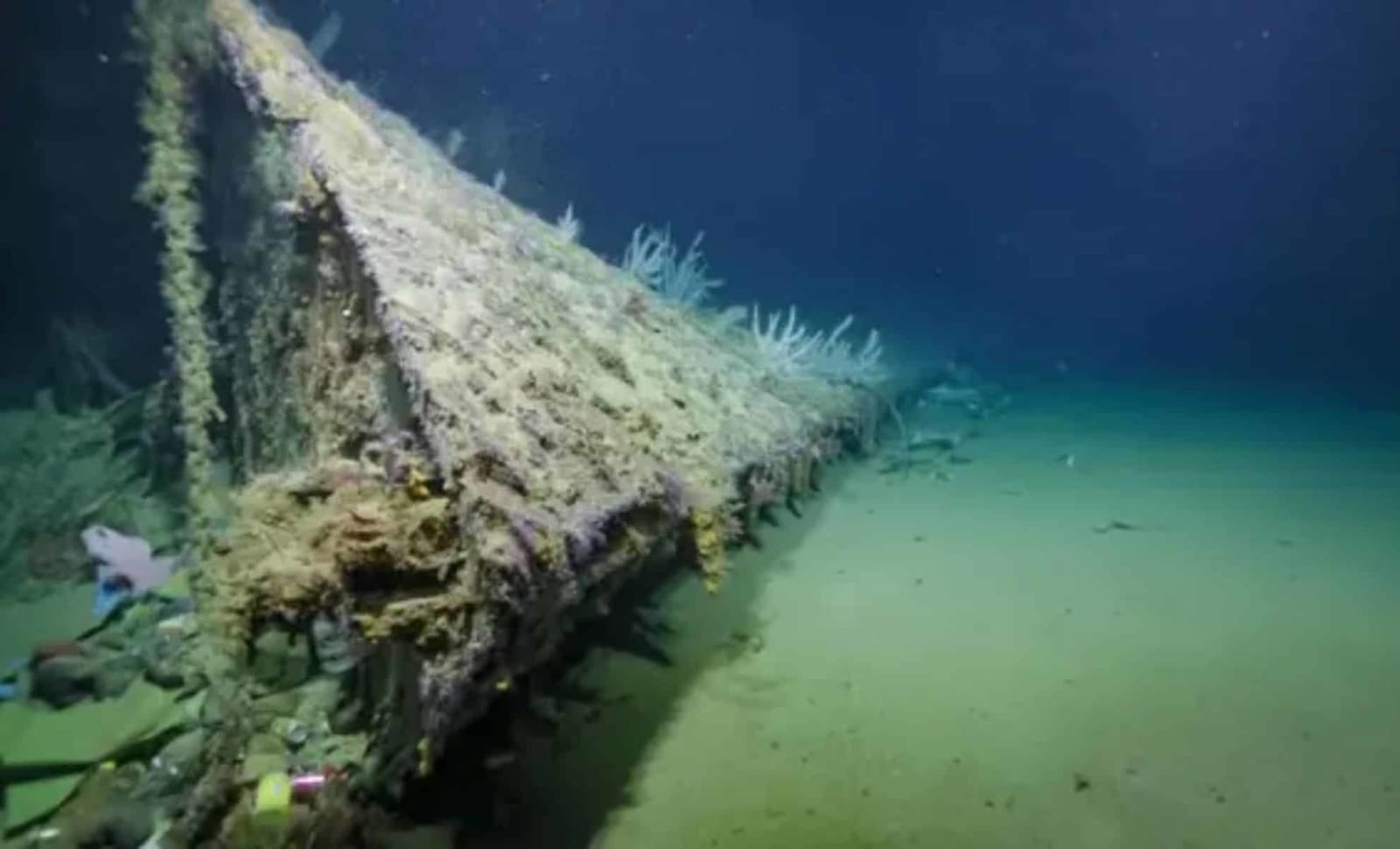 This WWII Ship Survived 1,800 Miles Thanks to One Unexpected Fruit