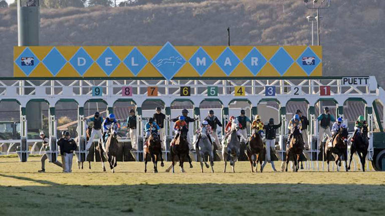 DRF's Horse Racing Playbook for Saturday, August 2, 2025: Best Races ...