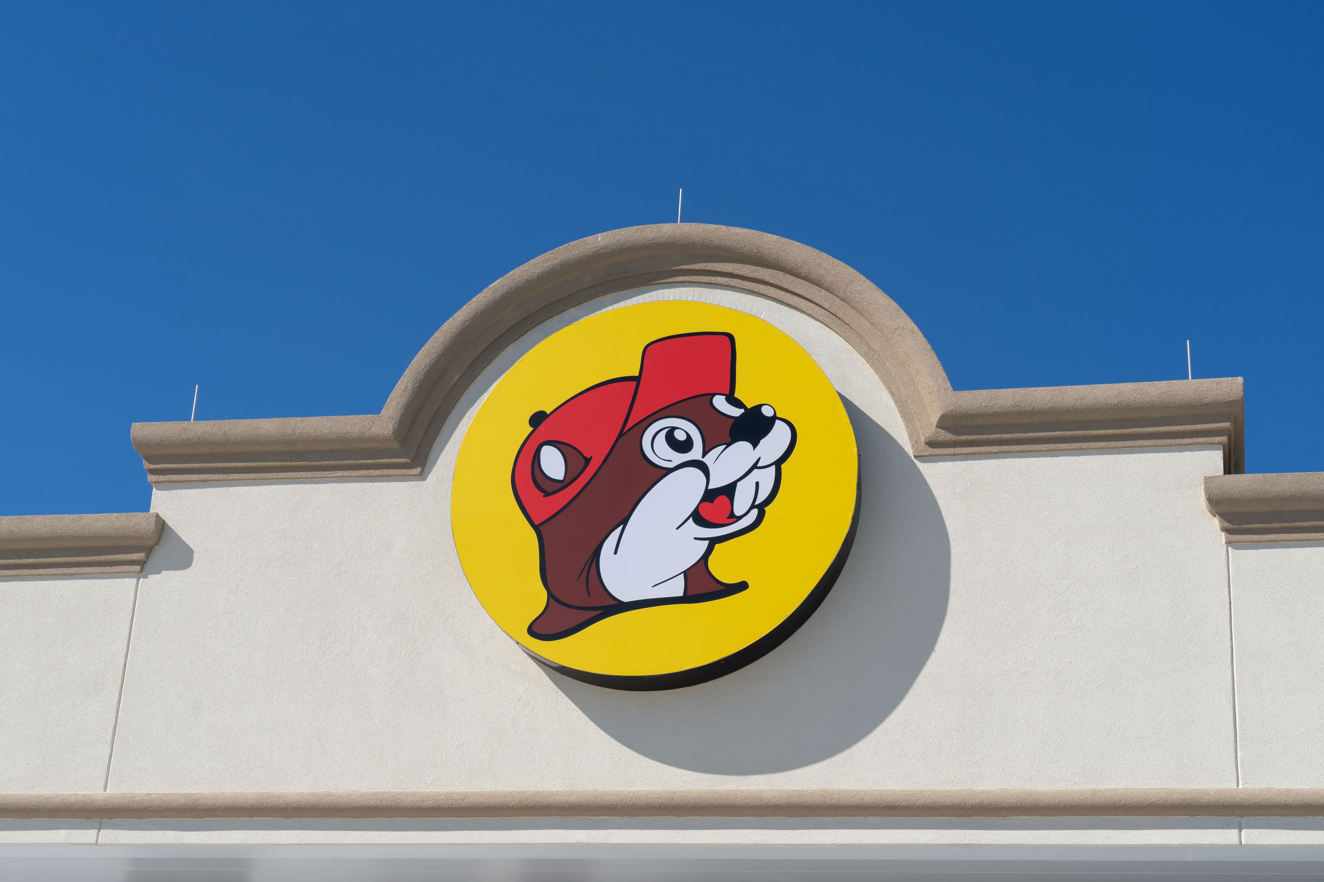 Bright interstate lights near new Buc-ee’s confuse baby sea turtles in ...