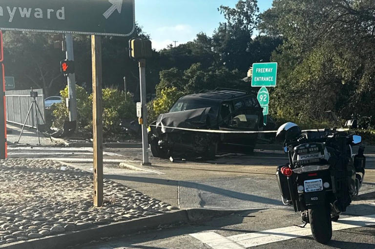 Mother killed by red-light runner in San Mateo crash identified