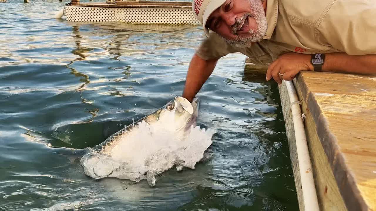 FISH OUT OF WATER ALMOST TAKES MY HAND