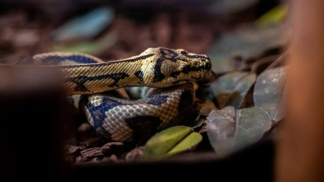 Man faces massive consequences after officials discover what he did ...