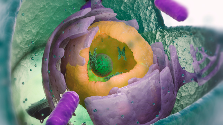 THIS common food additive is silently harming the body (and is eaten ...