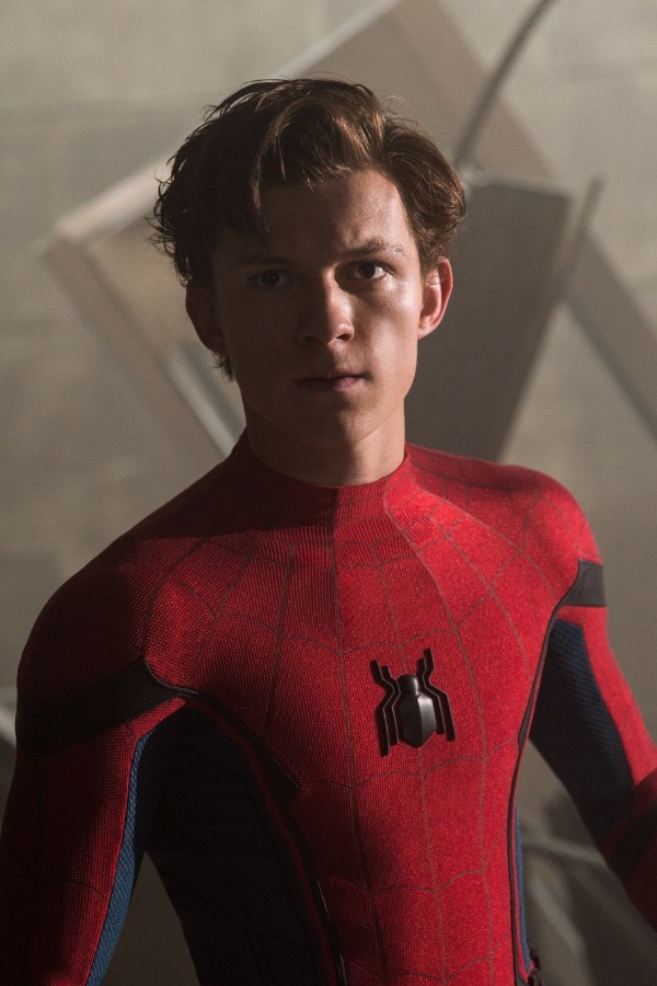 Spidey, Hulk & The Punisher To Fight In ‘Spider-Man: Brand New Day ...