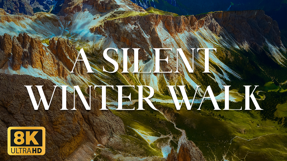 A Silent Winter Walk – Nature’s Mood in 4K