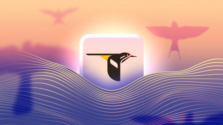 The Merlin Bird ID App Is Better Than Meditation, and It's Not Just for ...