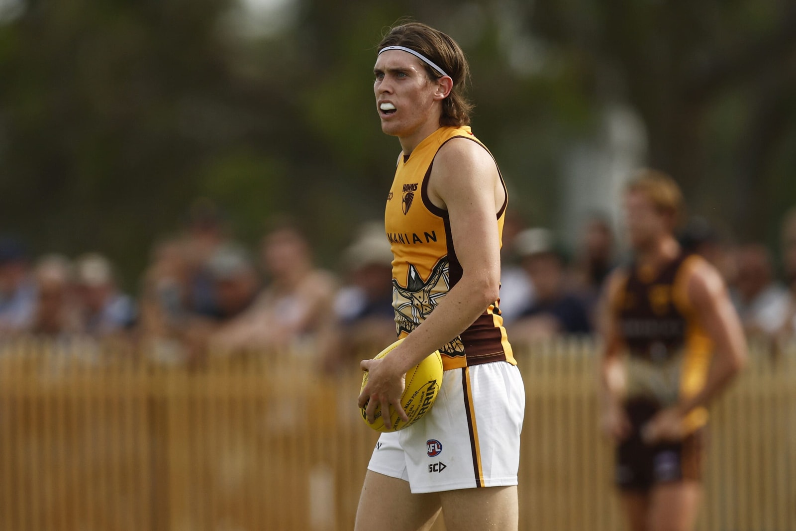 Heartbreak for Hawthorn star as scans confirm worst injury fears