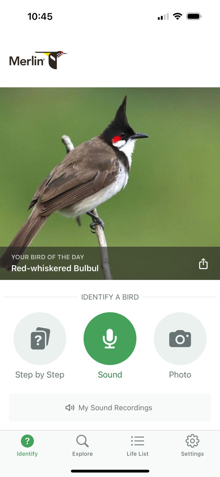 The Merlin Bird ID App Is Better Than Meditation, and It's Not Just for ...