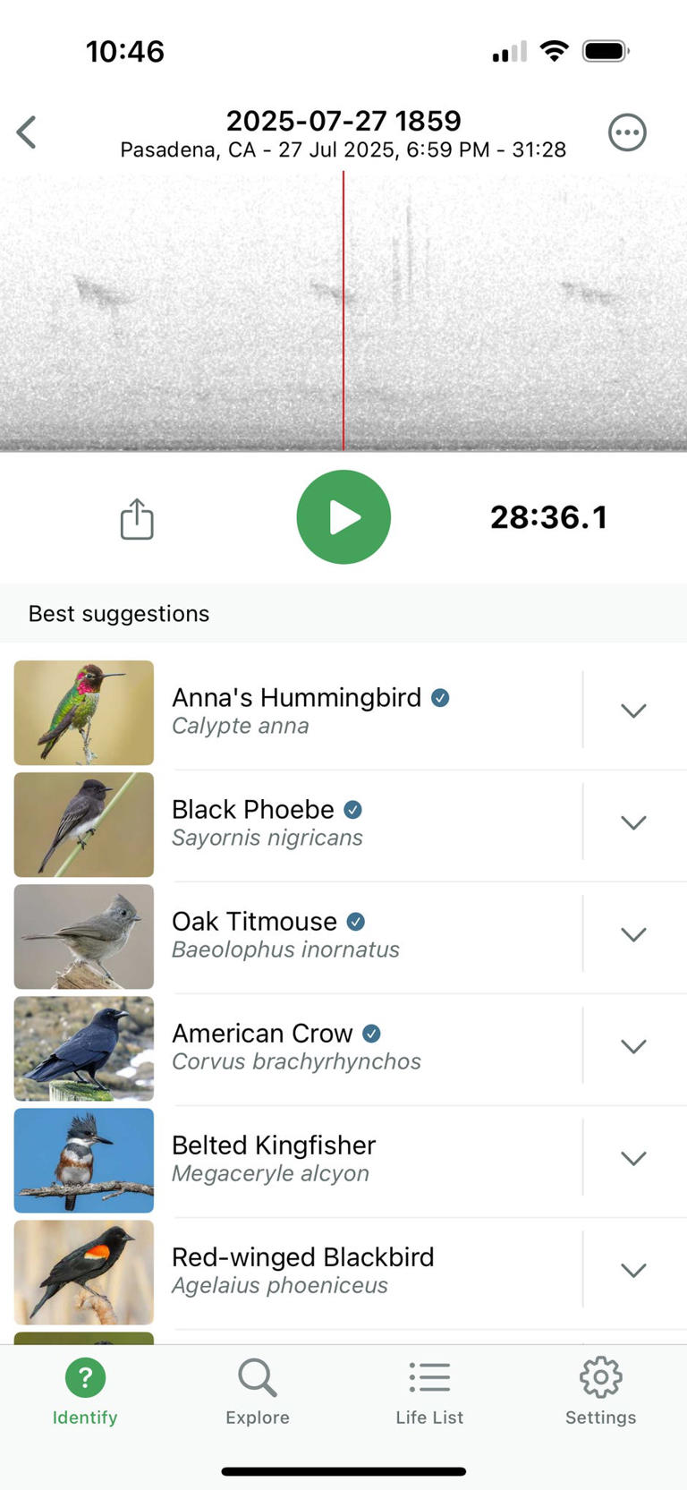 I Prefer the Merlin Bird ID App Over Meditation Apps for Staying in the ...