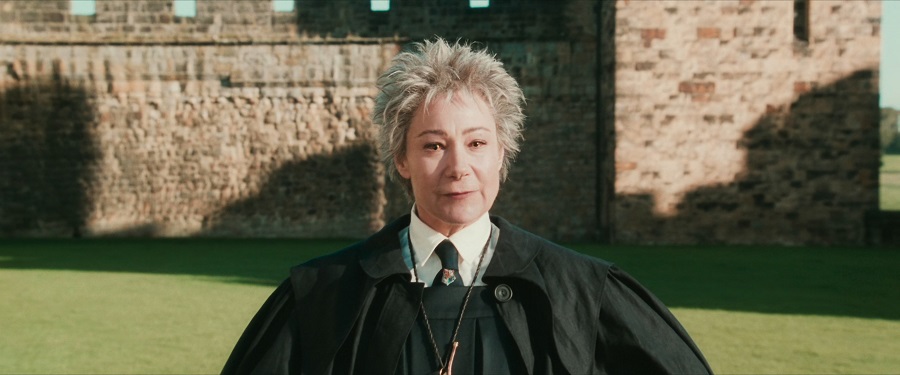Who is The Best Hogwarts Professor? Ranking the Top 10 Harry Potter ...