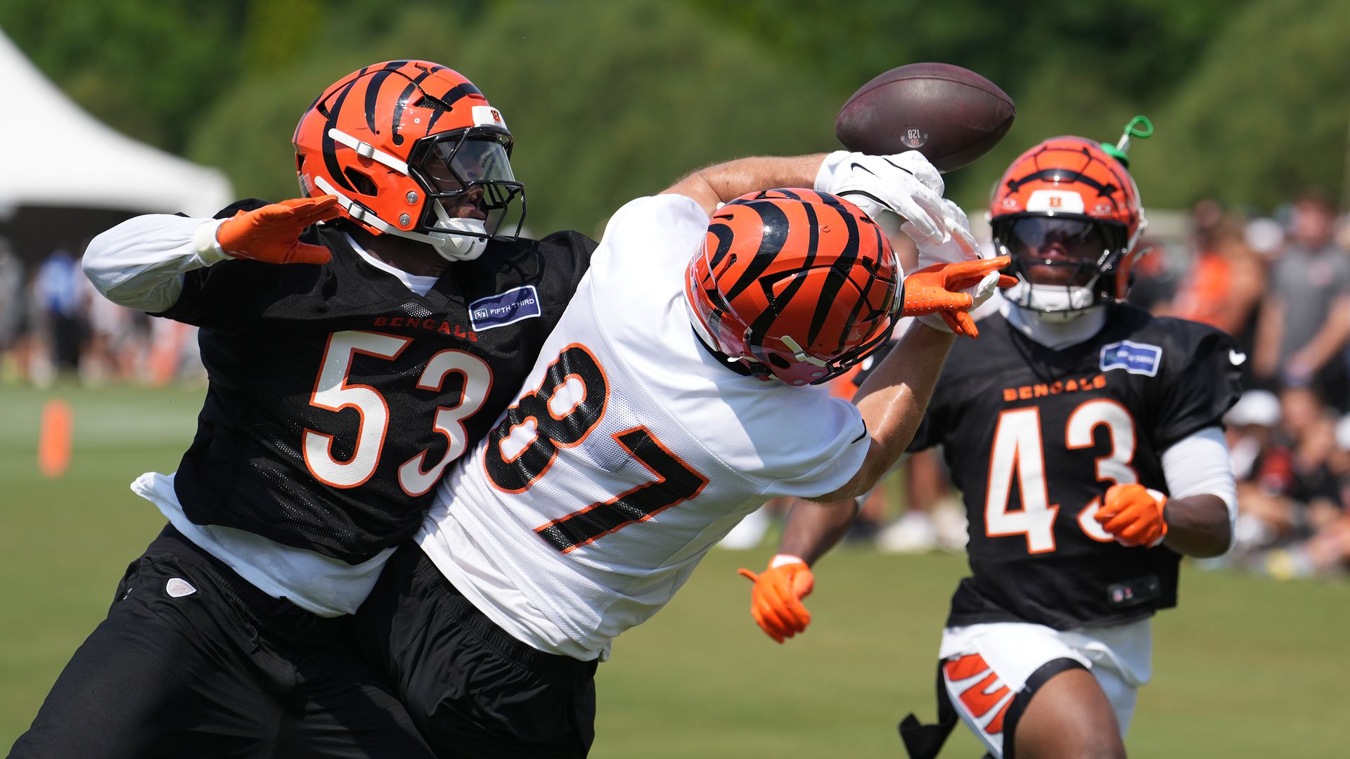 Saturday Bengals News and Open Thread (8/2): Paycor Stadium Practice Night