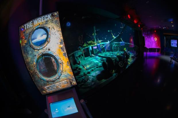 Shipwreck-loving Lookdowns at Hull aquarium The Deep's new habitat