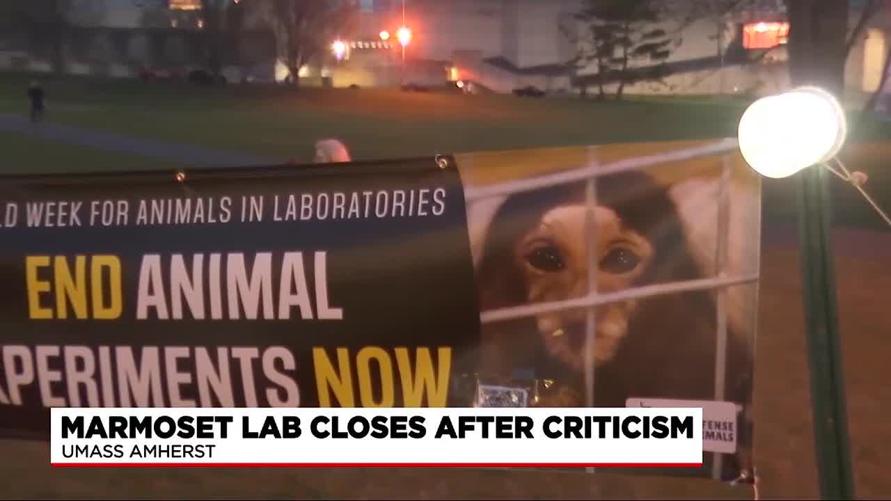 UMass Amherst monkey lab closes down