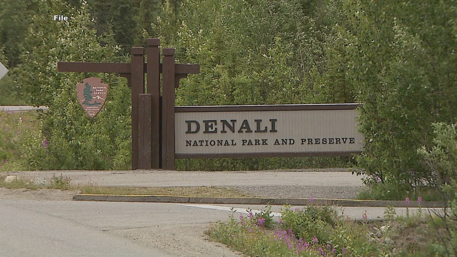 One dead, one injured after vehicle hits moose near Denali National Park