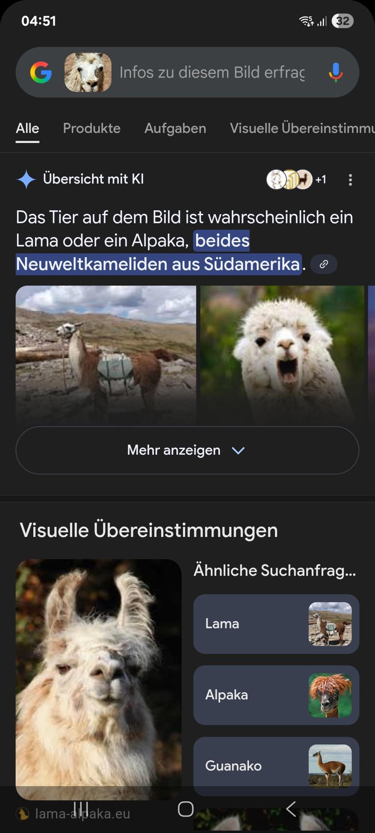 Google Lens clever nutzen: So holt ihr alles aus der App raus