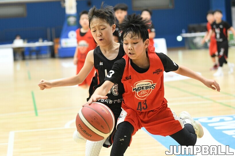 [포토] ‘DB손해보험 2025 KBL 유스 클럽 농구대회 IN 청춘 양구' 3일차, KT와 현대모비스의 U10 경기 화보