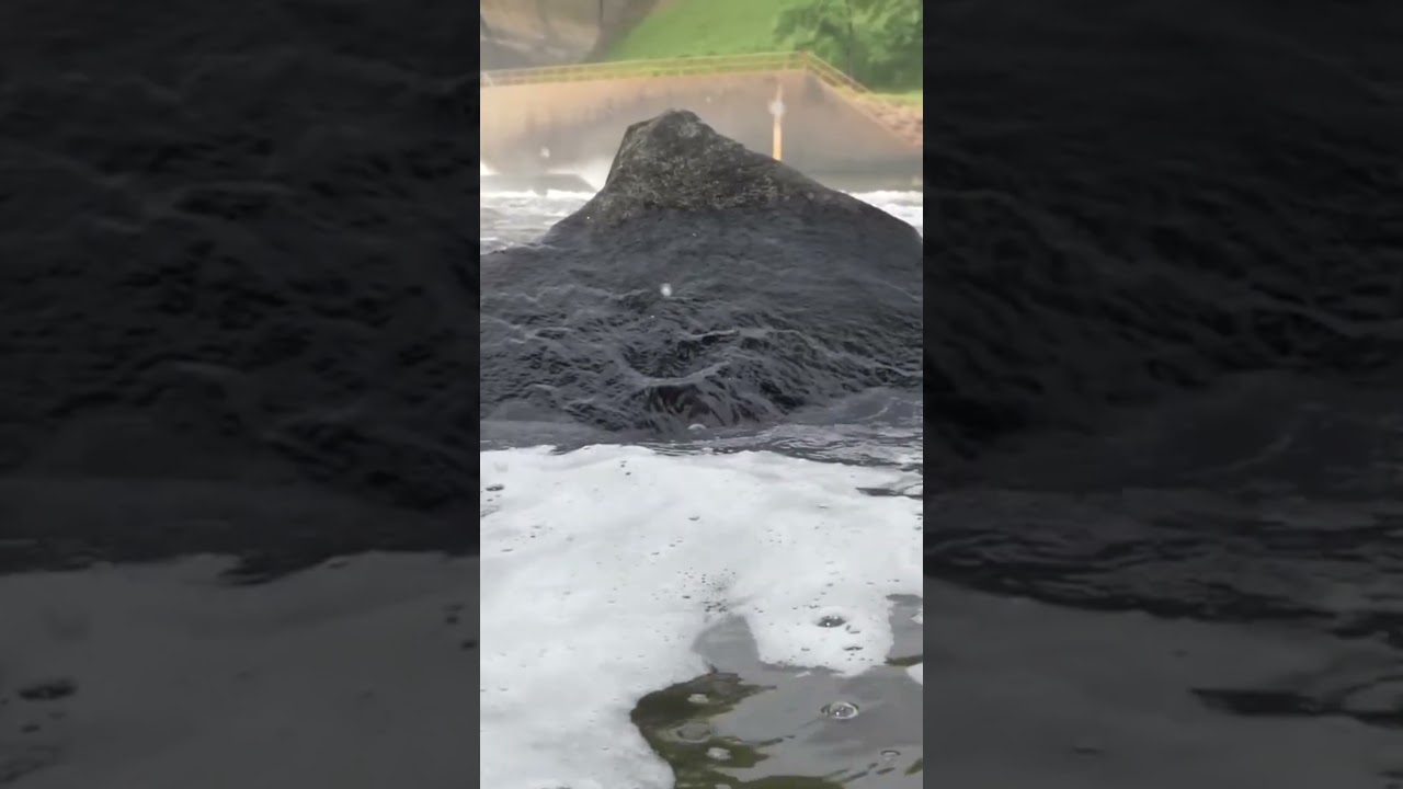 Hidden Gem Fishing Spot Delivers Big Rewards