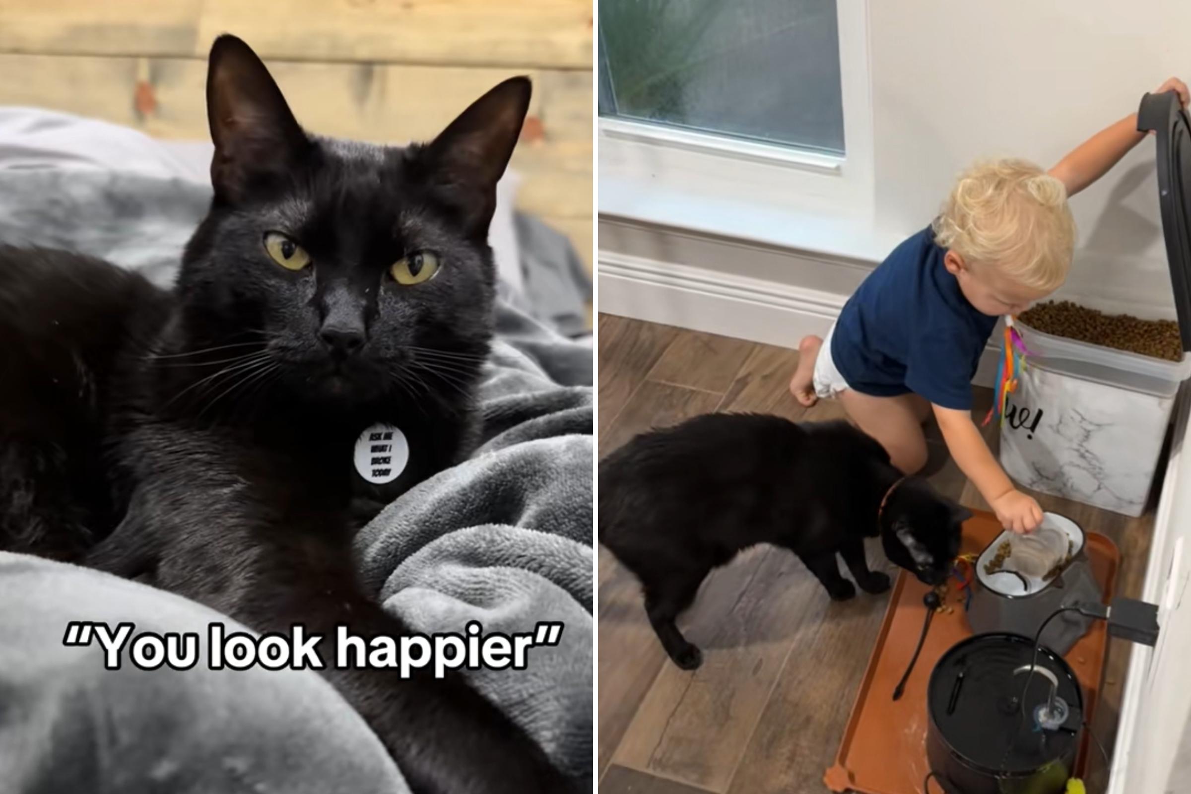 Mom left speechless over what cat "trained" toddler to do for him