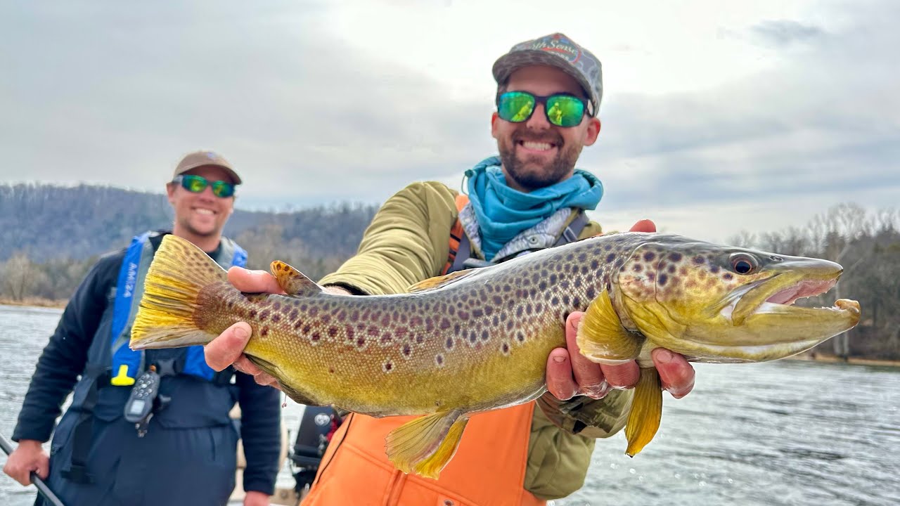 Fishing Arkansas' legendary trout river chasing monster browns
