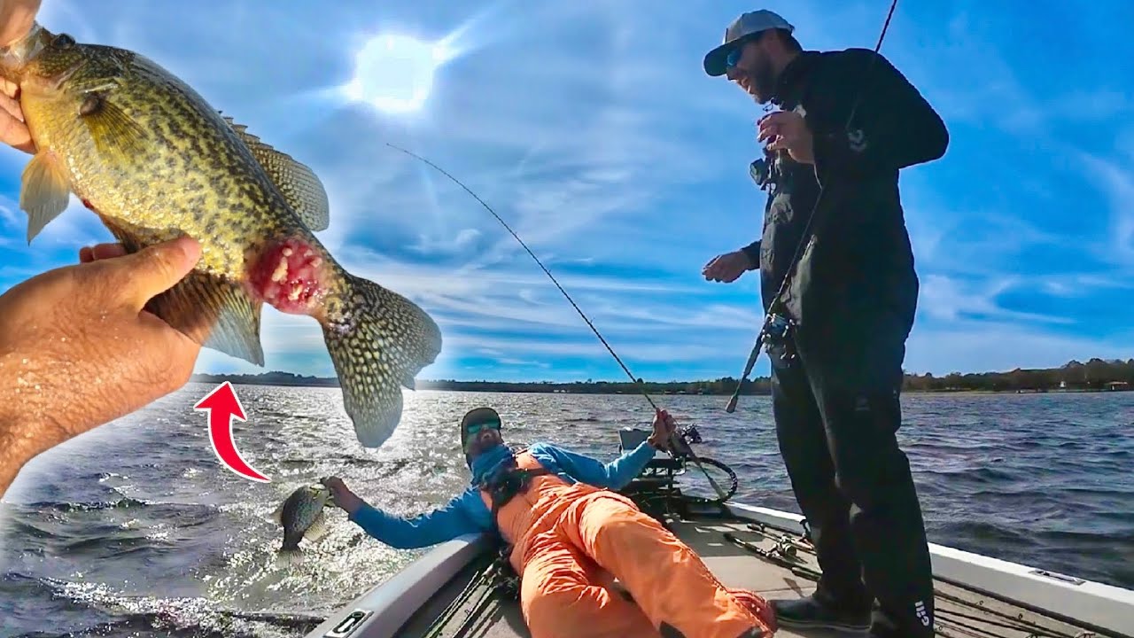 Watch what happens when we catch a giant zombie crappie