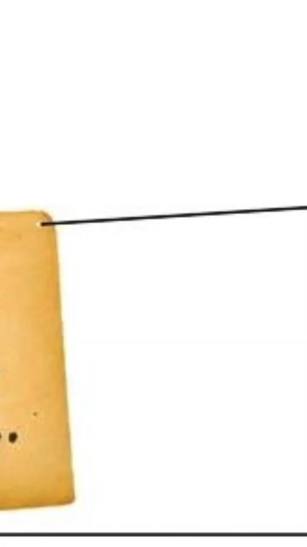 From pizza boy to business tycoon | The millionaire waiter saga