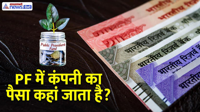 PF Rules: पीएफ में पूरा पैसा क्यों नहीं आता, कंपनी का 12% हिस्सा कहां ...