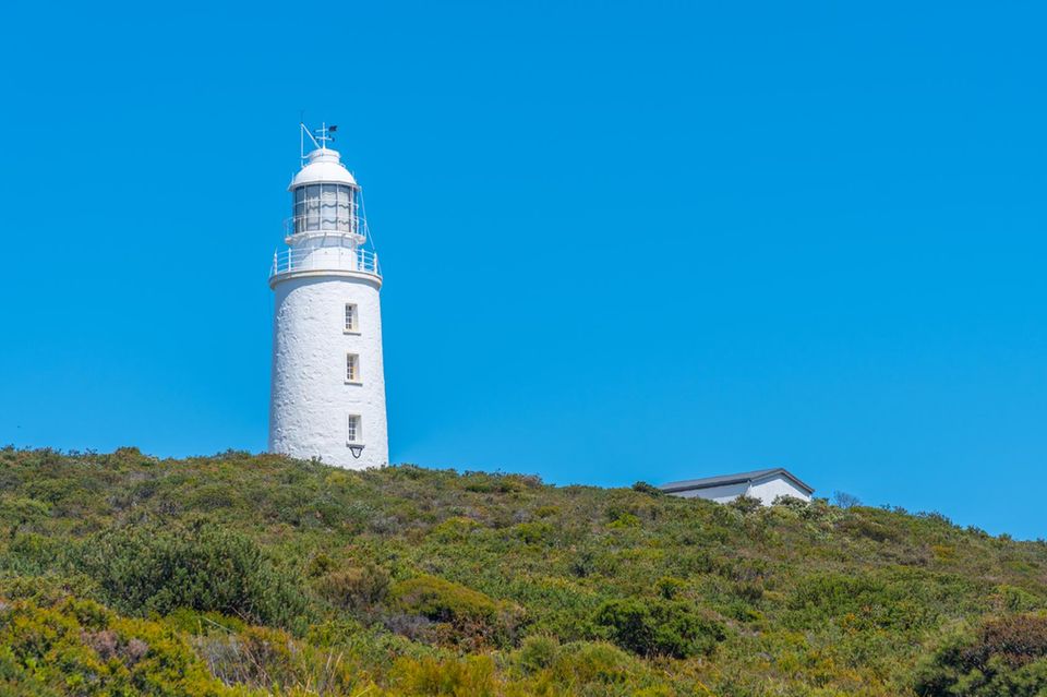 Tasmanien: Maler entdeckt versteckte Flaschenpost – die Nachricht darin ...
