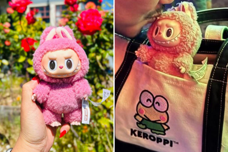 Heartbroken woman who lost Labubu during drunken night out posts ...