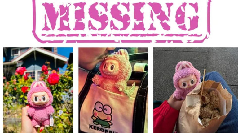 Heartbroken woman offers ₹4,000 reward for lost Labubu doll: ‘Took her ...