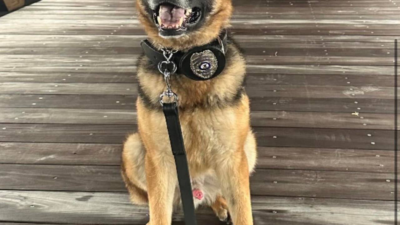 Illinois police K9 found after going missing