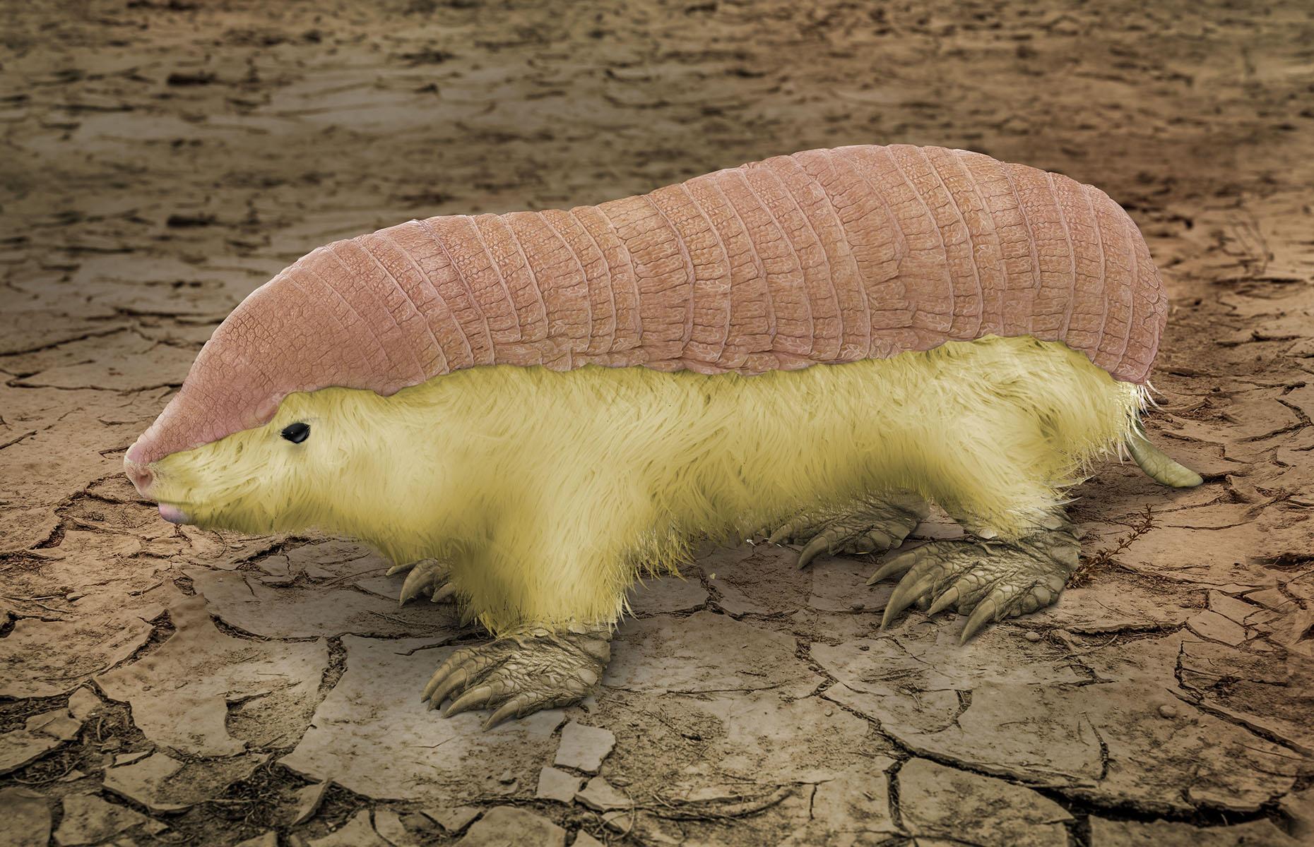 The world's strangest creatures barely look real