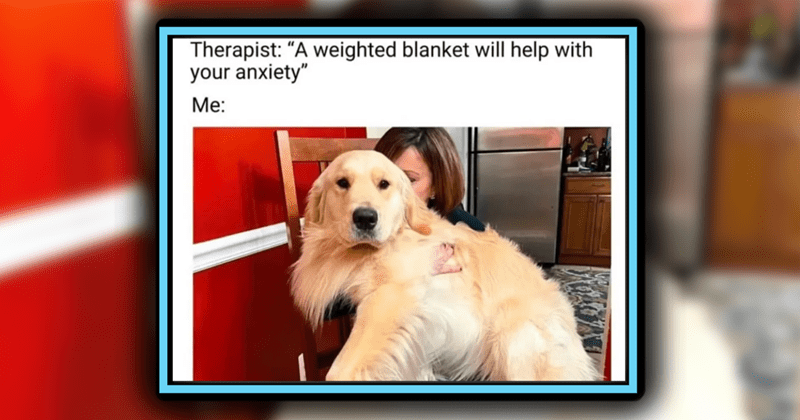 23 Pawsitive Pupper Posts for a Sweet End to the Working Week