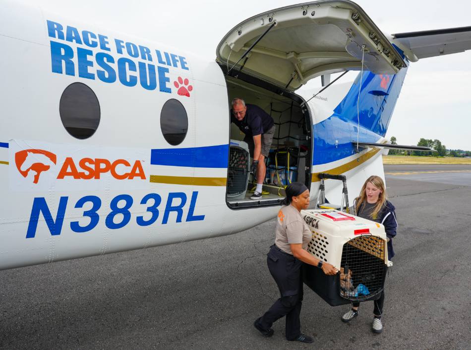 Oregon Humane Society welcomes 16 dogs from Texas after floods