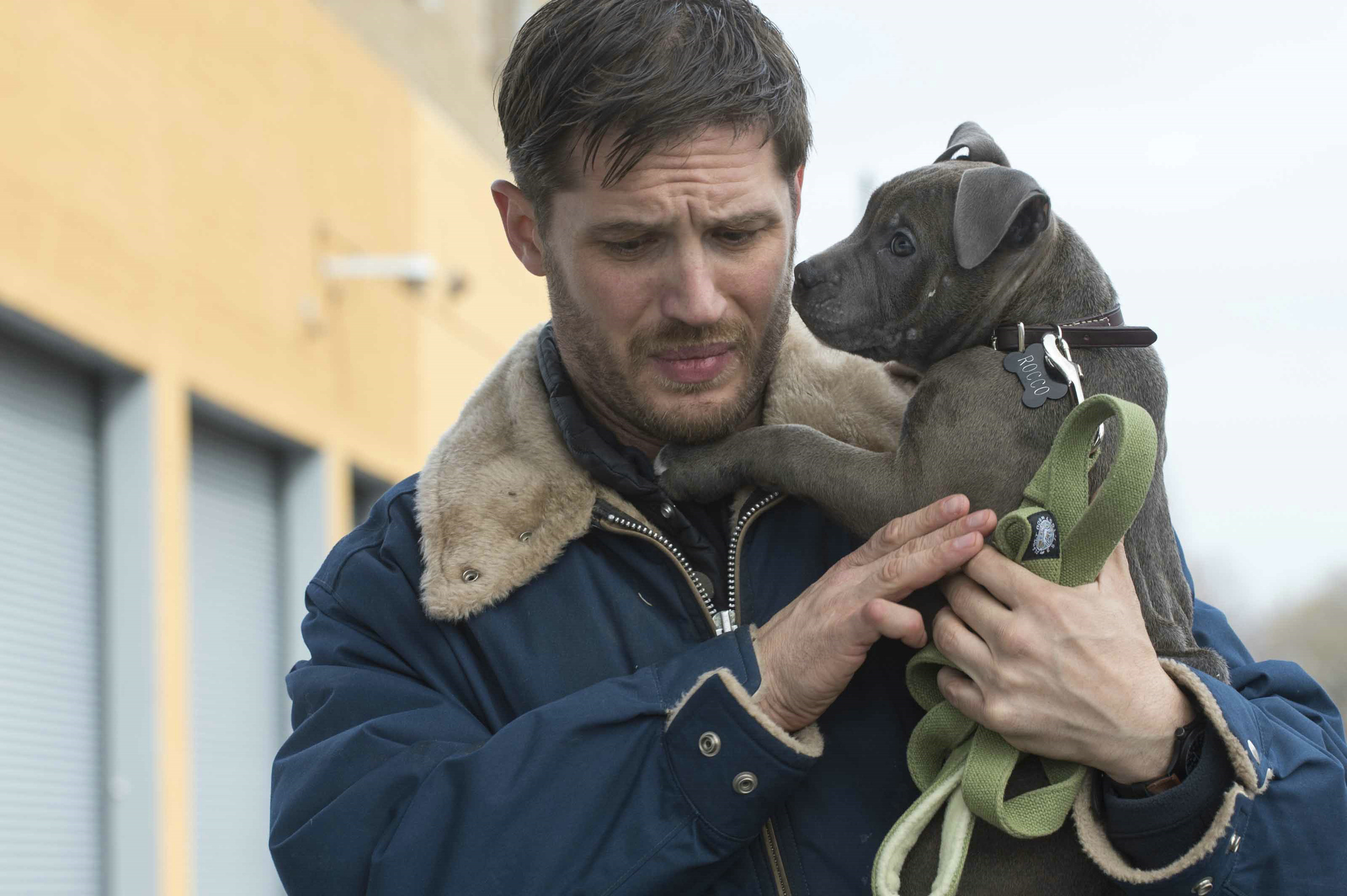 The 20 best Tom Hardy performances