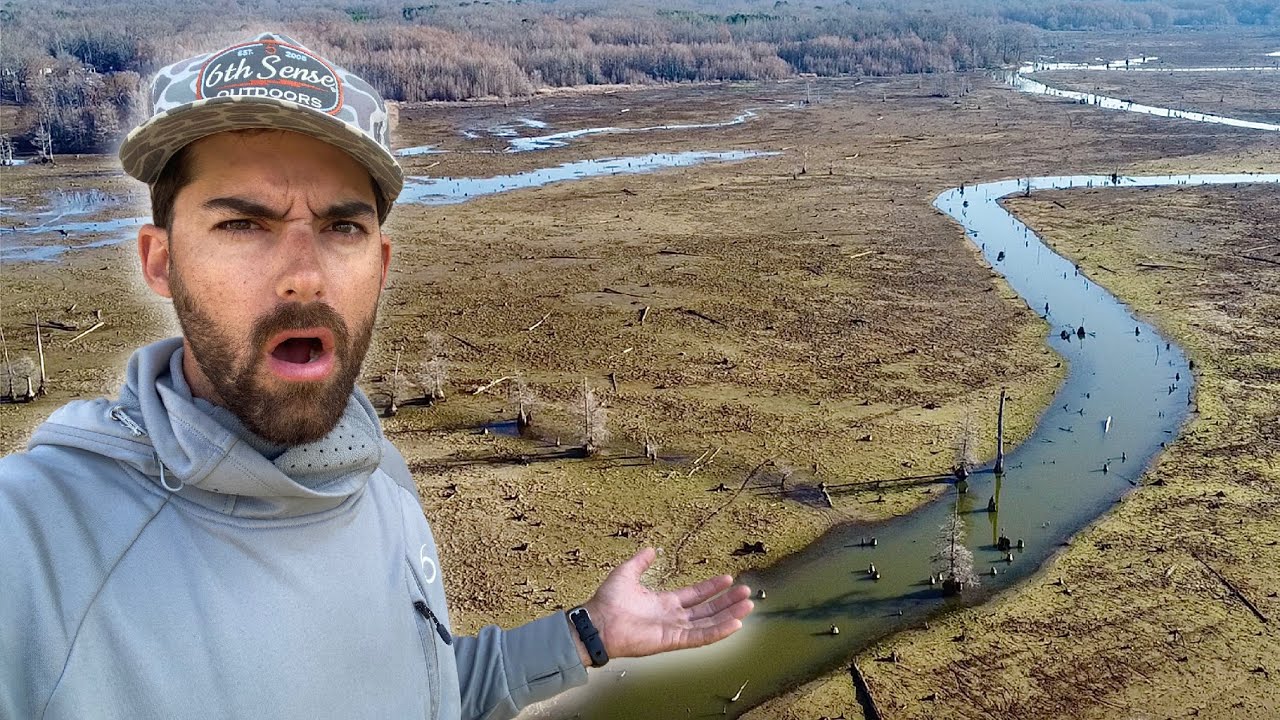 Whoever did this needs to stop fishing and rescue wildlife