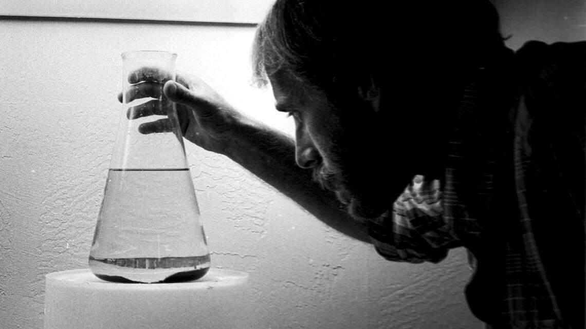 As population disappeared, Pismo clam baffled scientists. ‘A mind of ...