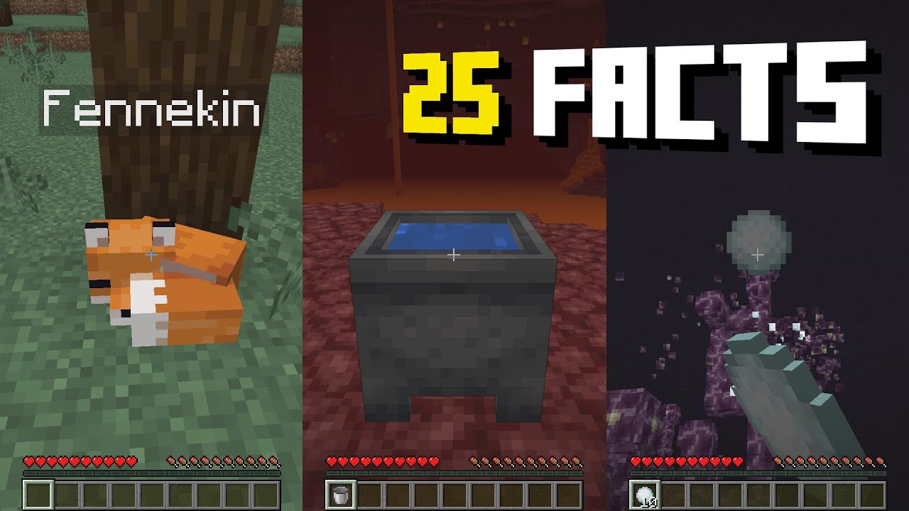 25 Lesser-Known Minecraft Facts and Hidden Game Details