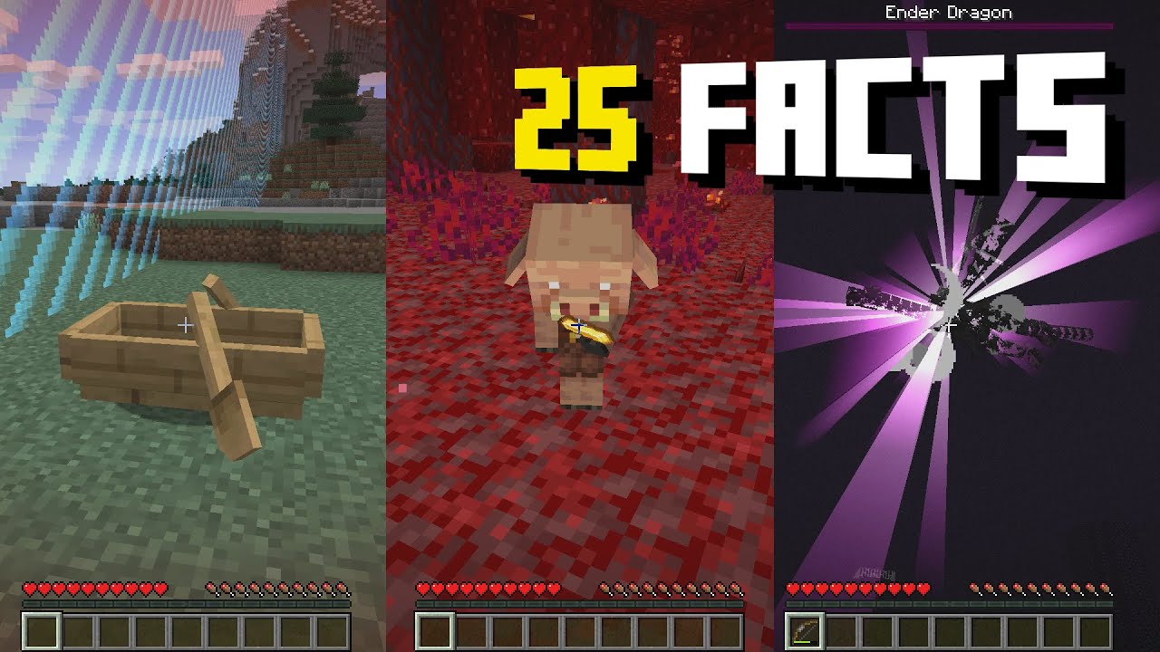 25 Additional Minecraft Facts and Secrets Most Players Overlook