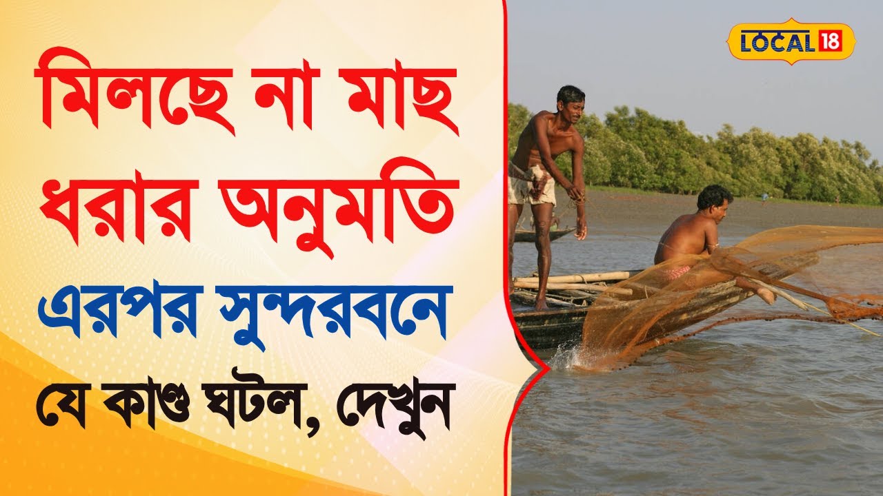 Bangla News | মিলছে না মাছ ধরার অনুমতি, এরপর সুন্দরবনে যে কাণ্ড ঘটল, দেখুন | Sundarban | #local18