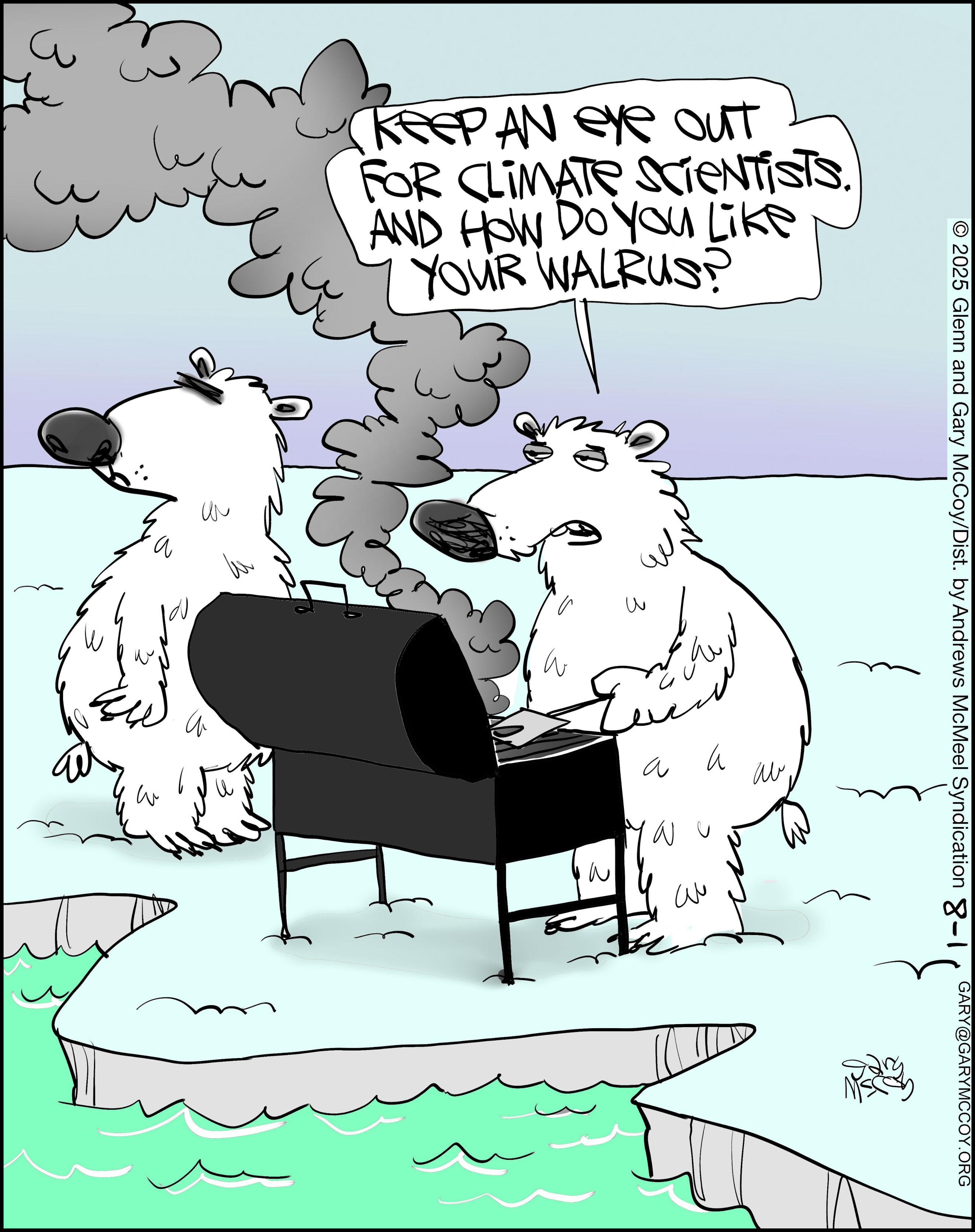 The Flying McCoys by Glenn and Gary McCoy