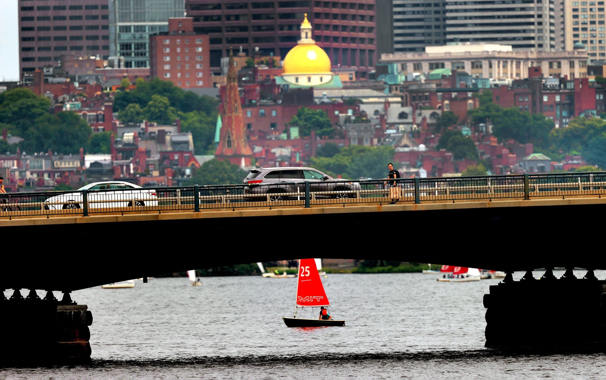 Boston health officials issue warning after toxic algae found in ...