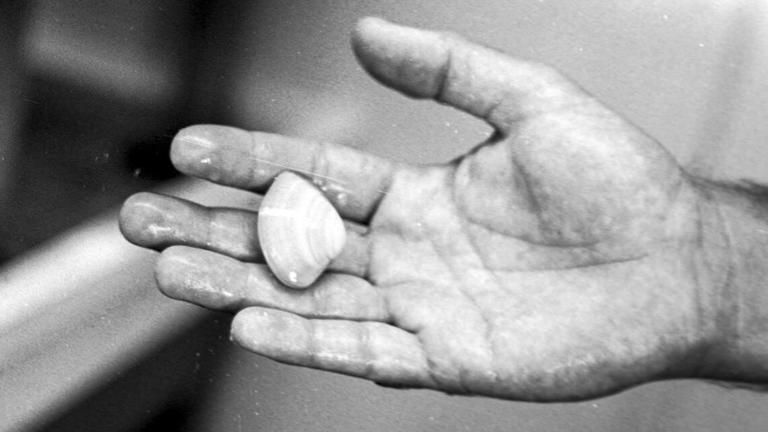 As population disappeared, Pismo clam baffled scientists. ‘A mind of ...
