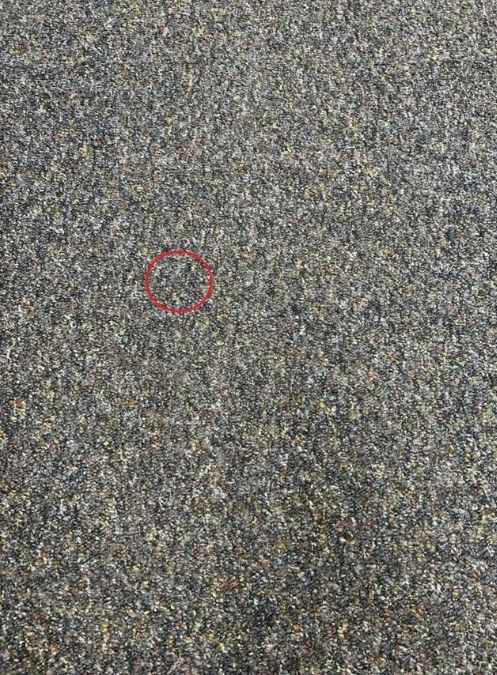 98% People Failed This Brain Teaser Optical Illusion Challenge! Spot ...